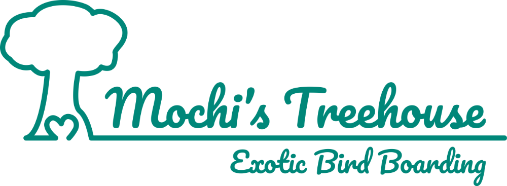 Your bird's vacation Destination - Mochi's Treehouse